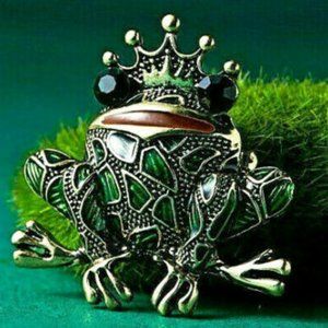 Jewelry | Royal Crown Kissing Frog Prince Rhinestone Brooch | Poshmark